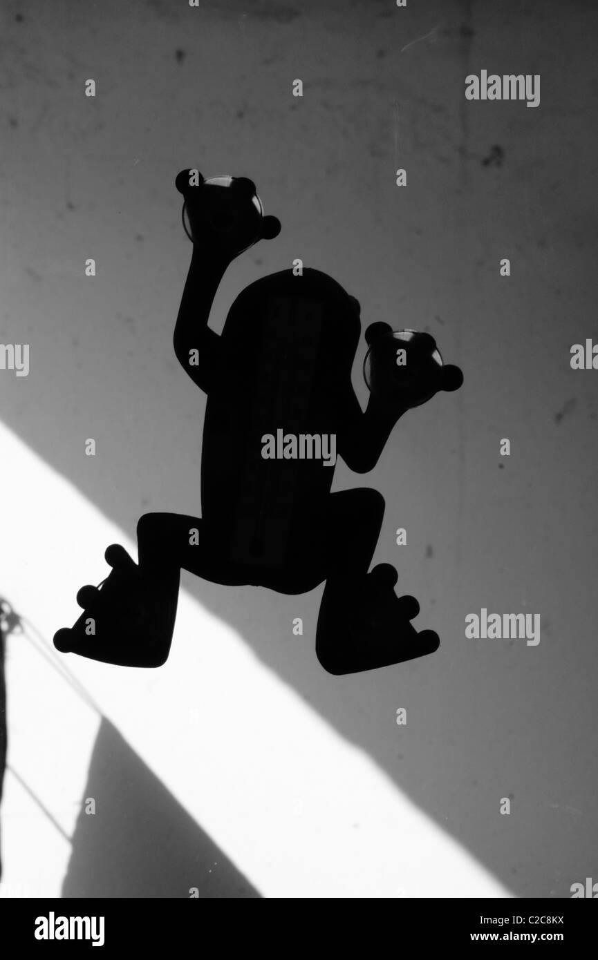 frog at the window Stock Photo - Alamy