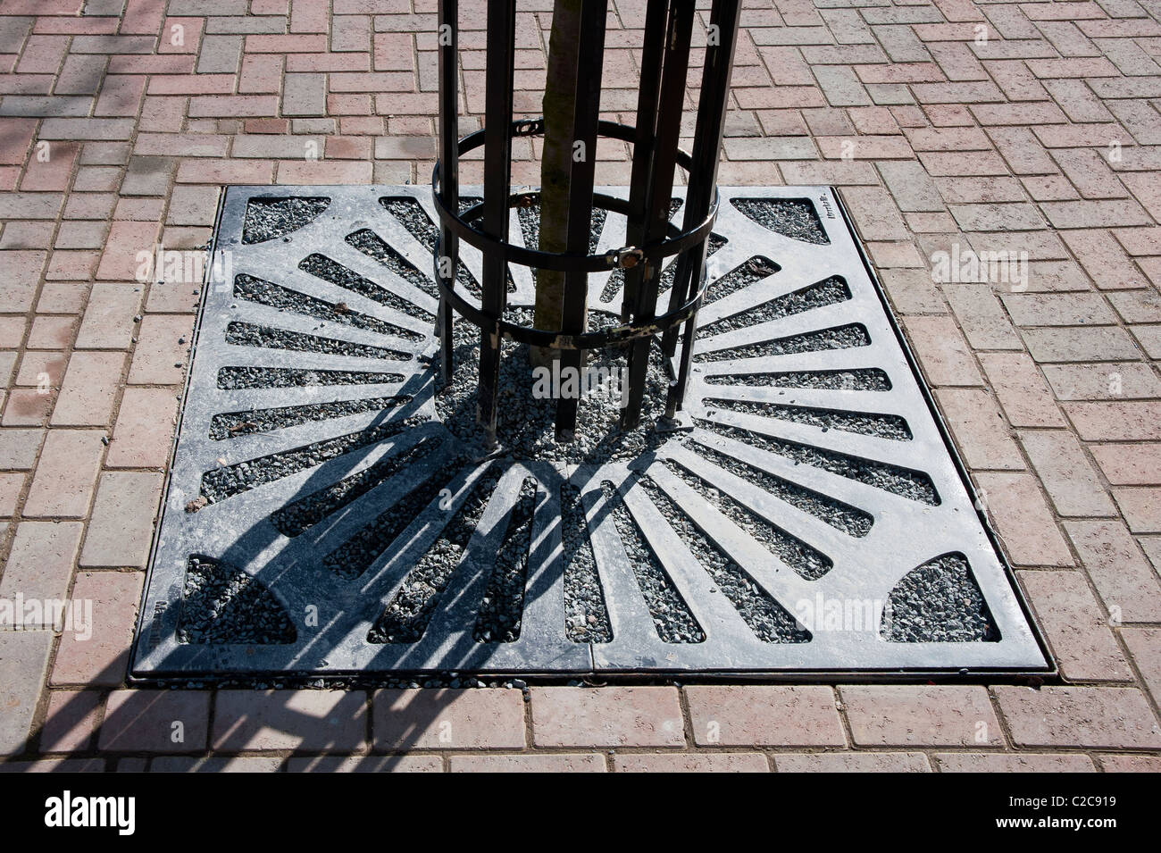 Cast-iron grid to protect a tree planted in a paved area. This protects ...