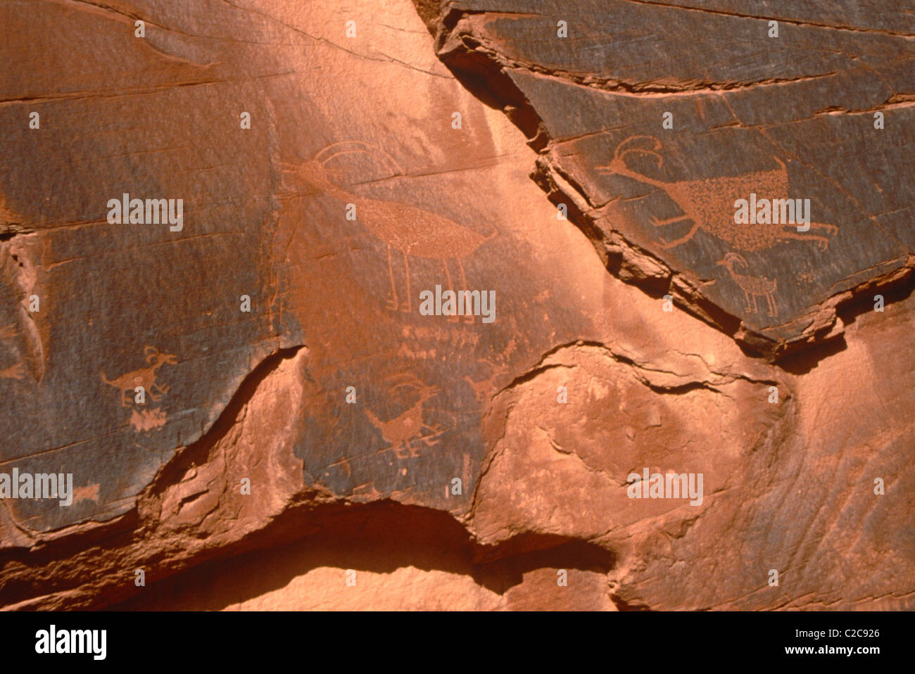 Sandstone Rock Utah USA Stock Photo - Alamy