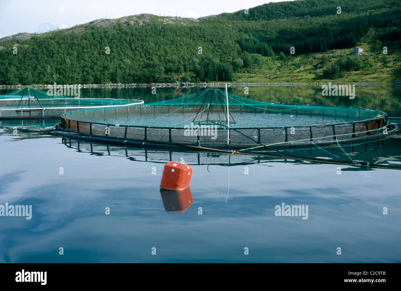 Fish Farming Trondelag Norway Stock Photo - Alamy