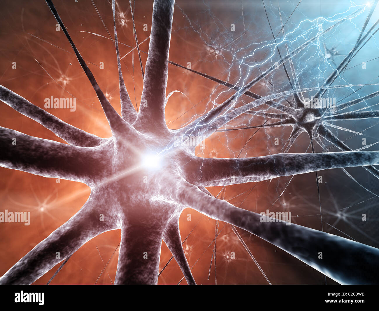 Brain neuron hi-res stock photography and images - Alamy