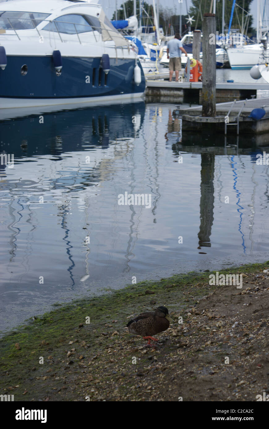 Summer sea scenes Stock Photo - Alamy