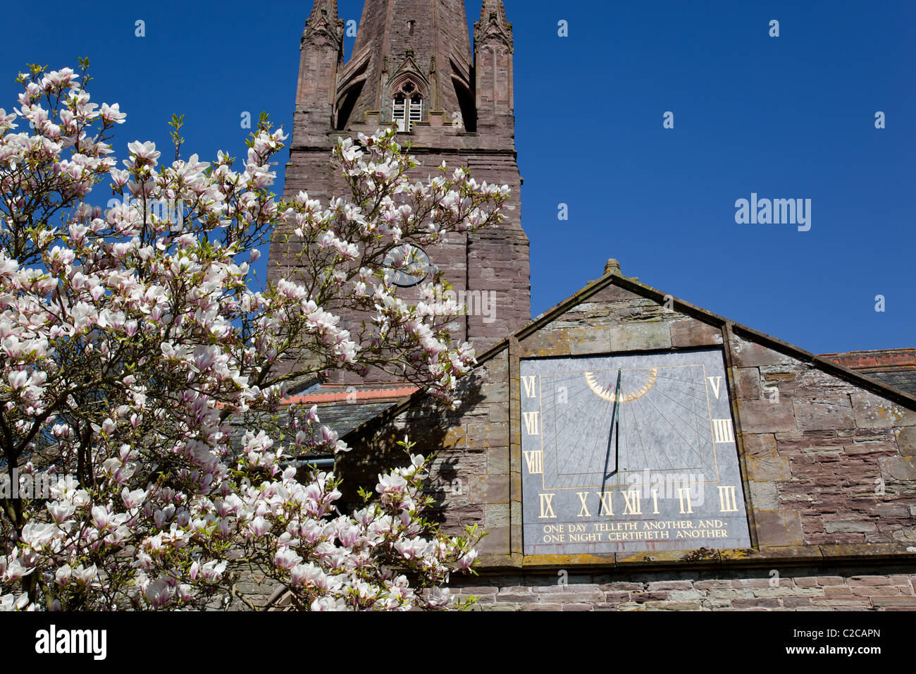 Blossom beside the entrance into St Peter and St Paul's Church, Weobley ...