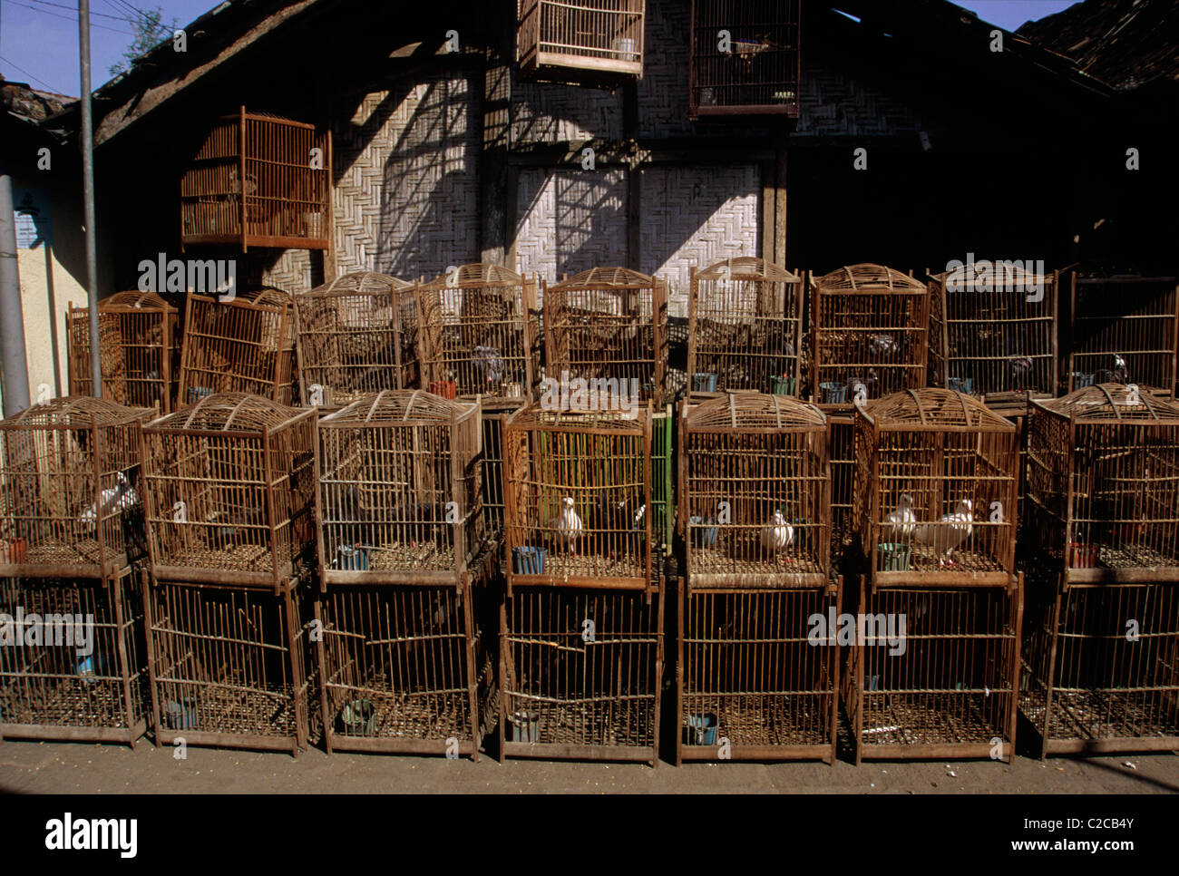 Row bird cages hi-res stock photography and images - Alamy