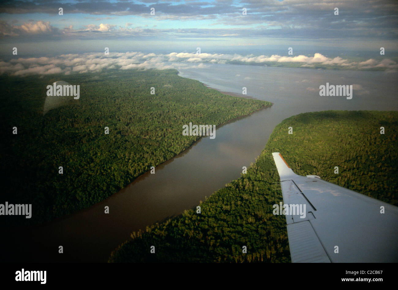 Rain Forest, Babo, West Papua, Indonesia, Asia Stock Photo - Alamy