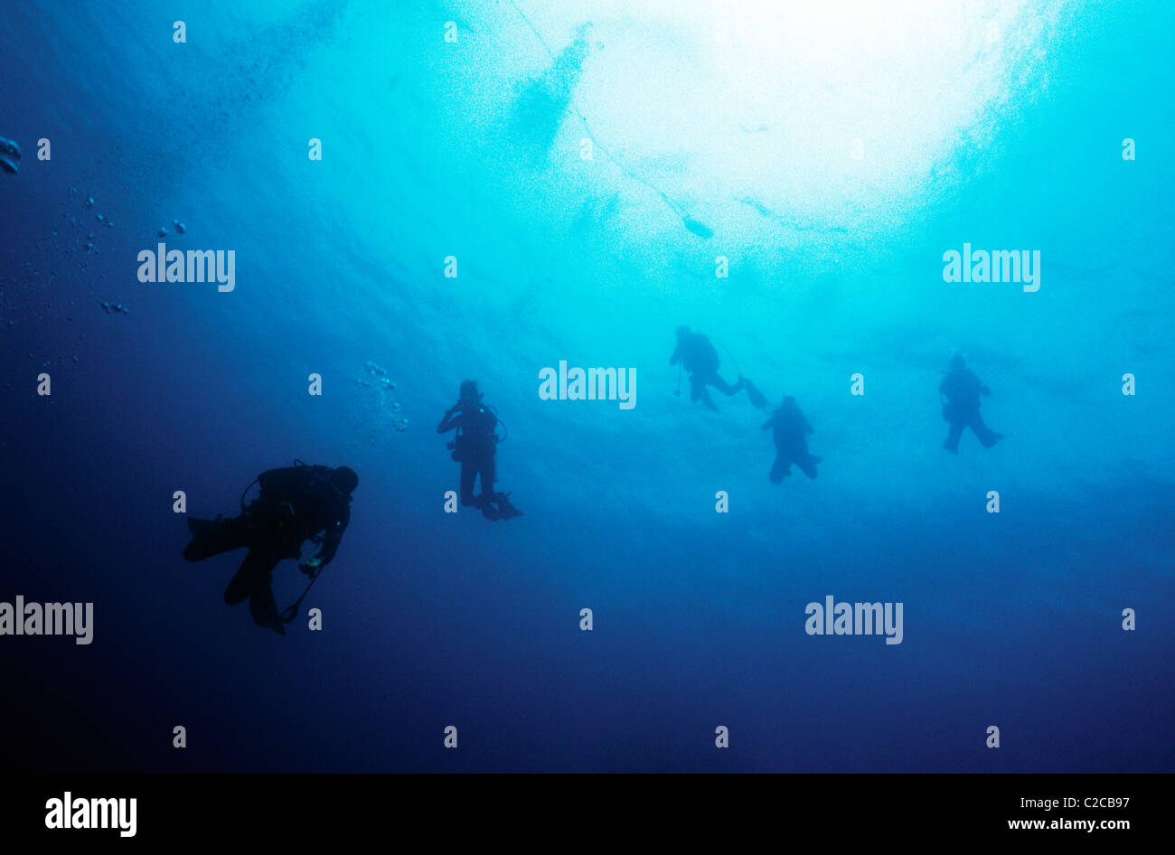 Group of divers descending in blue water with sun, Tufi, Papua New ...