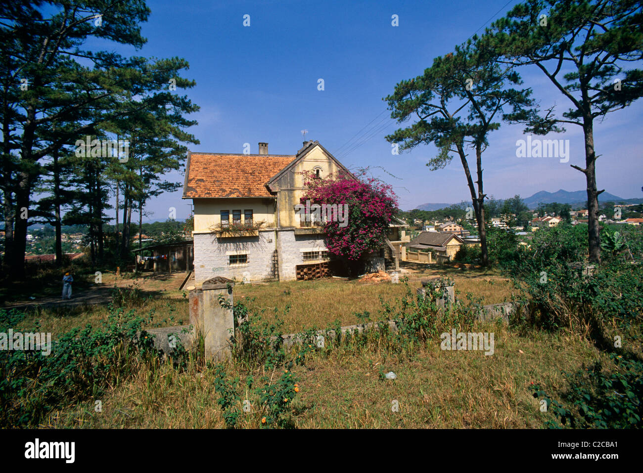 Overgrown architecture hi-res stock photography and images - Alamy