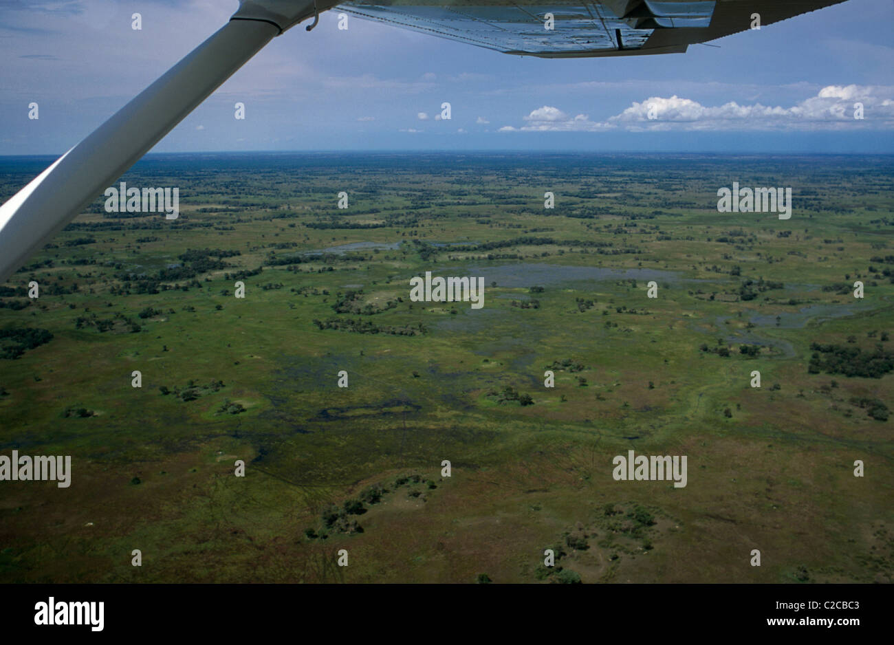 Aerial view from small plane flight across delta, Maun to Xaxaba Camp ...