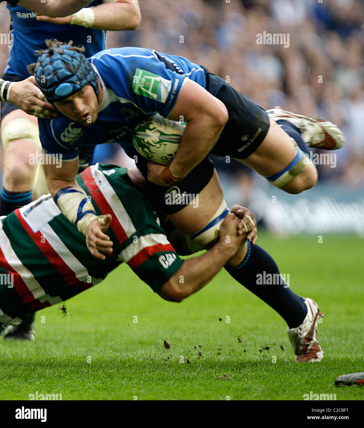 Sean o'brien rugby hi-res stock photography and images - Alamy