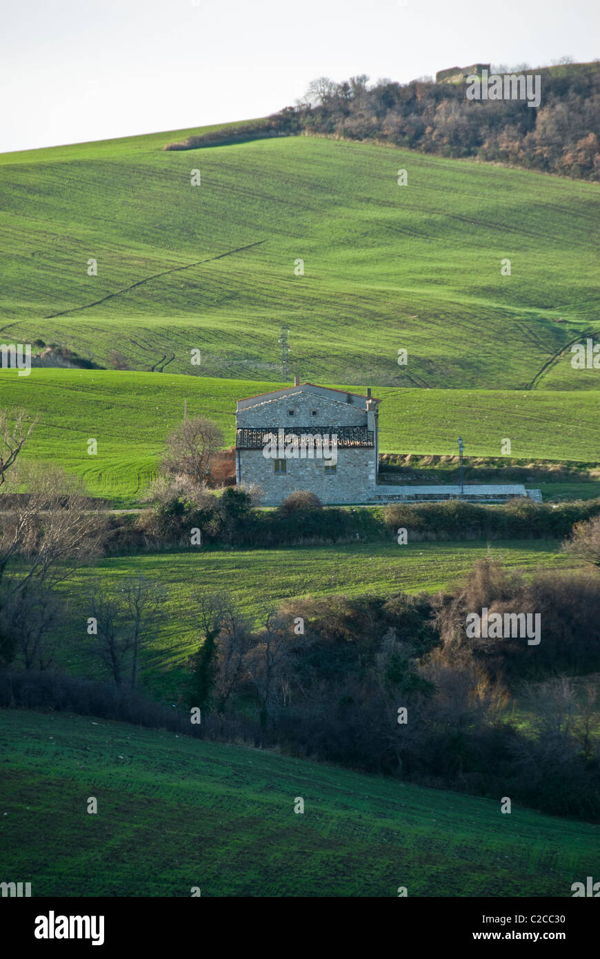 A small church in an open sprouted grain field Stock Photo - Alamy