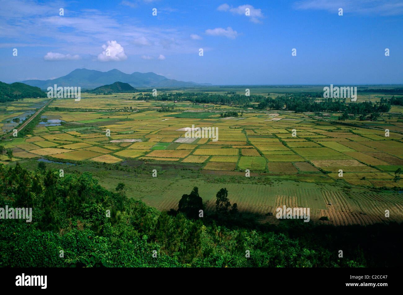 rice paddy fields, near Da Nang, Vietnam, Asia Stock Photo - Alamy
