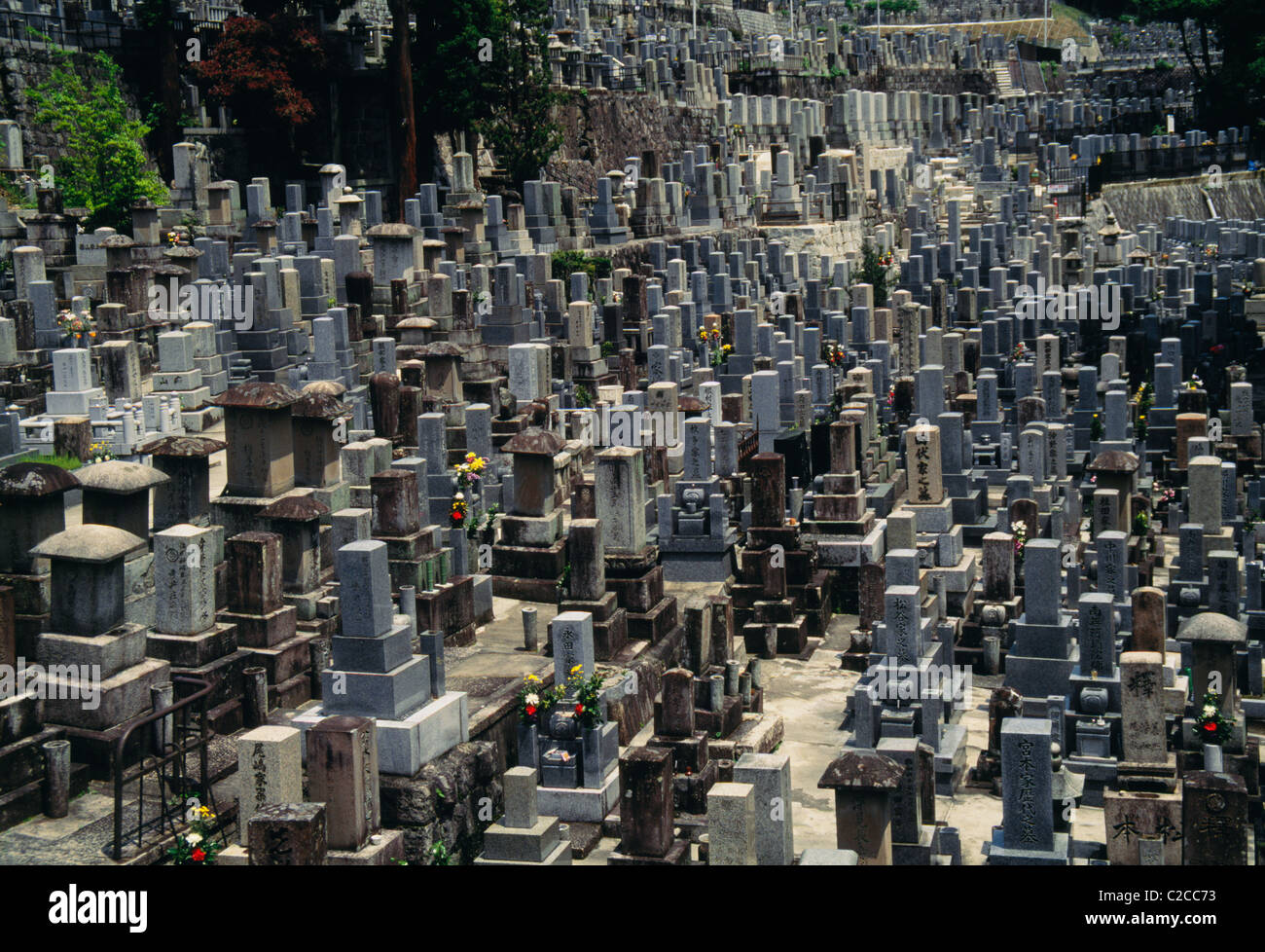 Cemetery with rectangular gravestones, Kyoto, Honshu Island, Japan ...