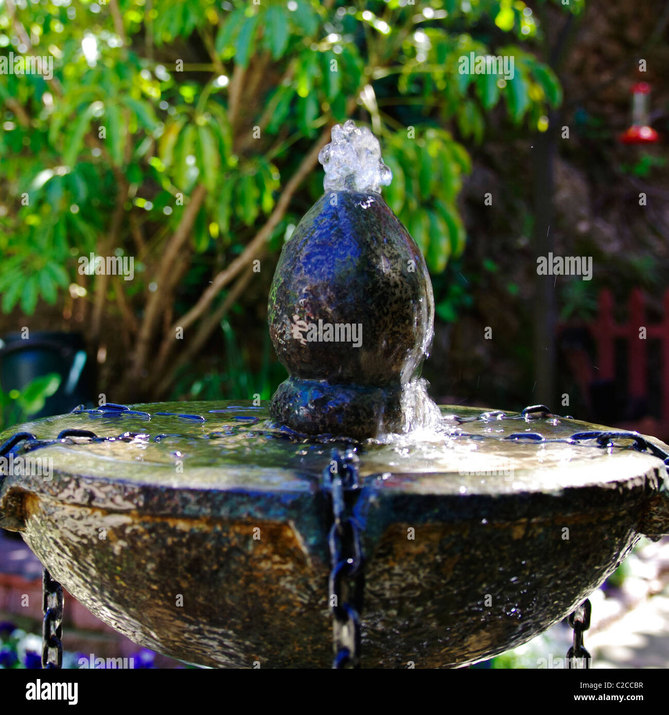 Backyard water feature hi-res stock photography and images - Alamy