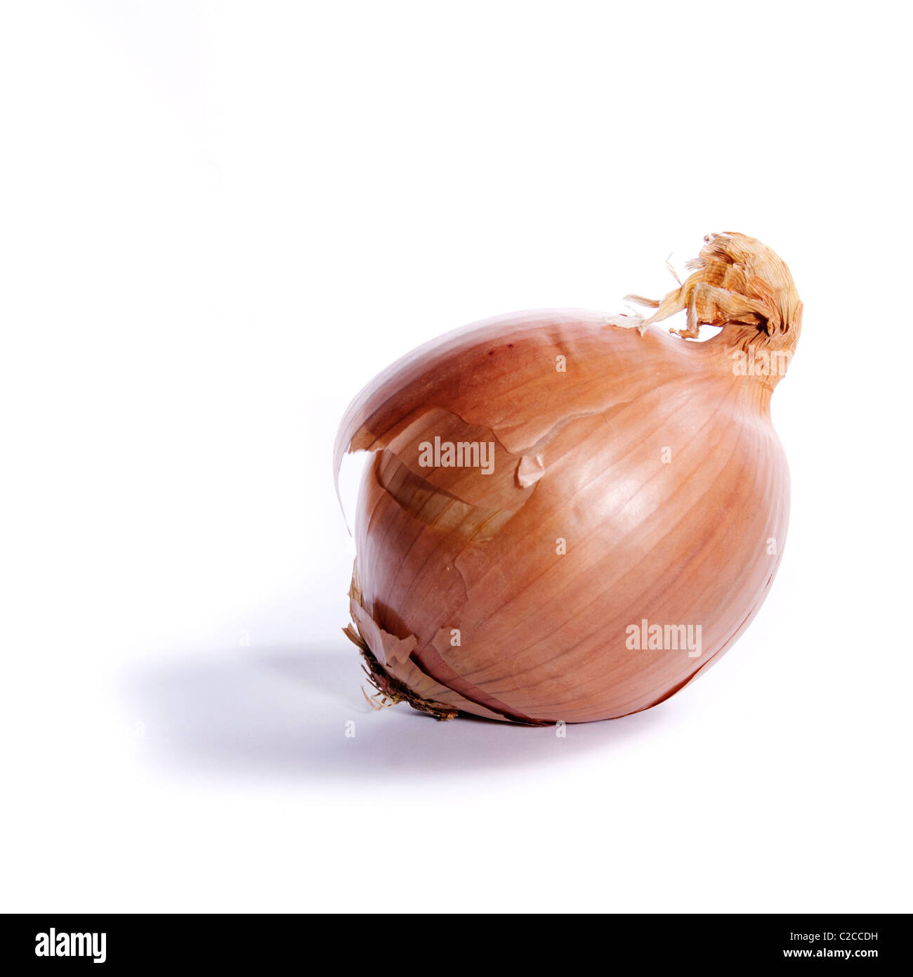An onion from the side Stock Photo - Alamy