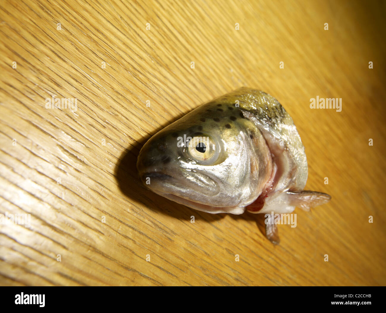 Trout head hi-res stock photography and images - Alamy