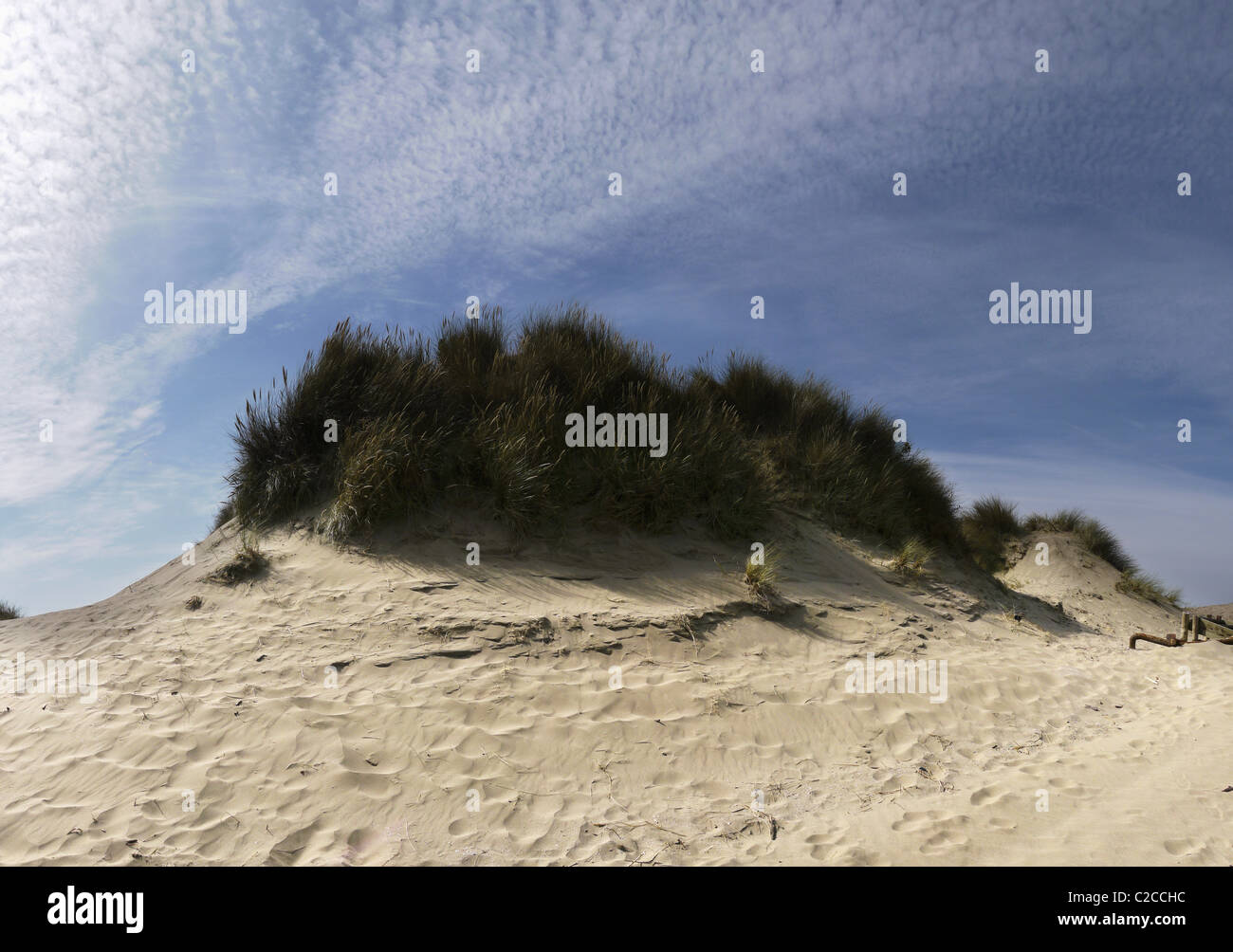 crow point on the estuary of the river taw braunston burrows nature ...