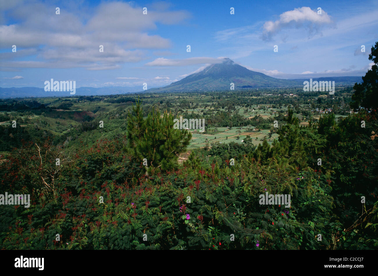 Mount Sinabung, taken in 1996, Karo plateau, Karo Regency, Sumatra ...