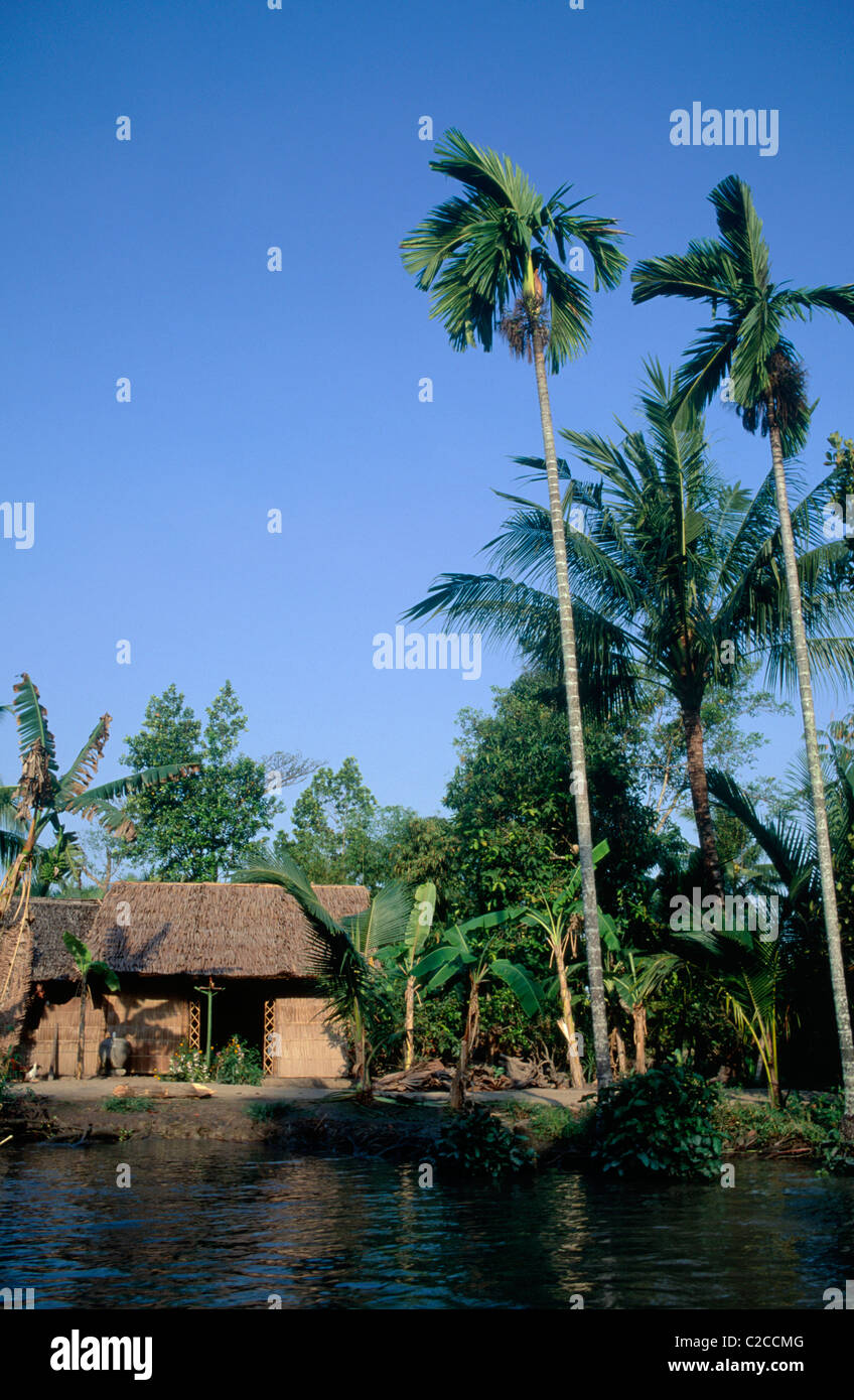 Shacks on river, Hậu River, Can Tho, Mekong Delta, Vietnam, Asia Stock ...