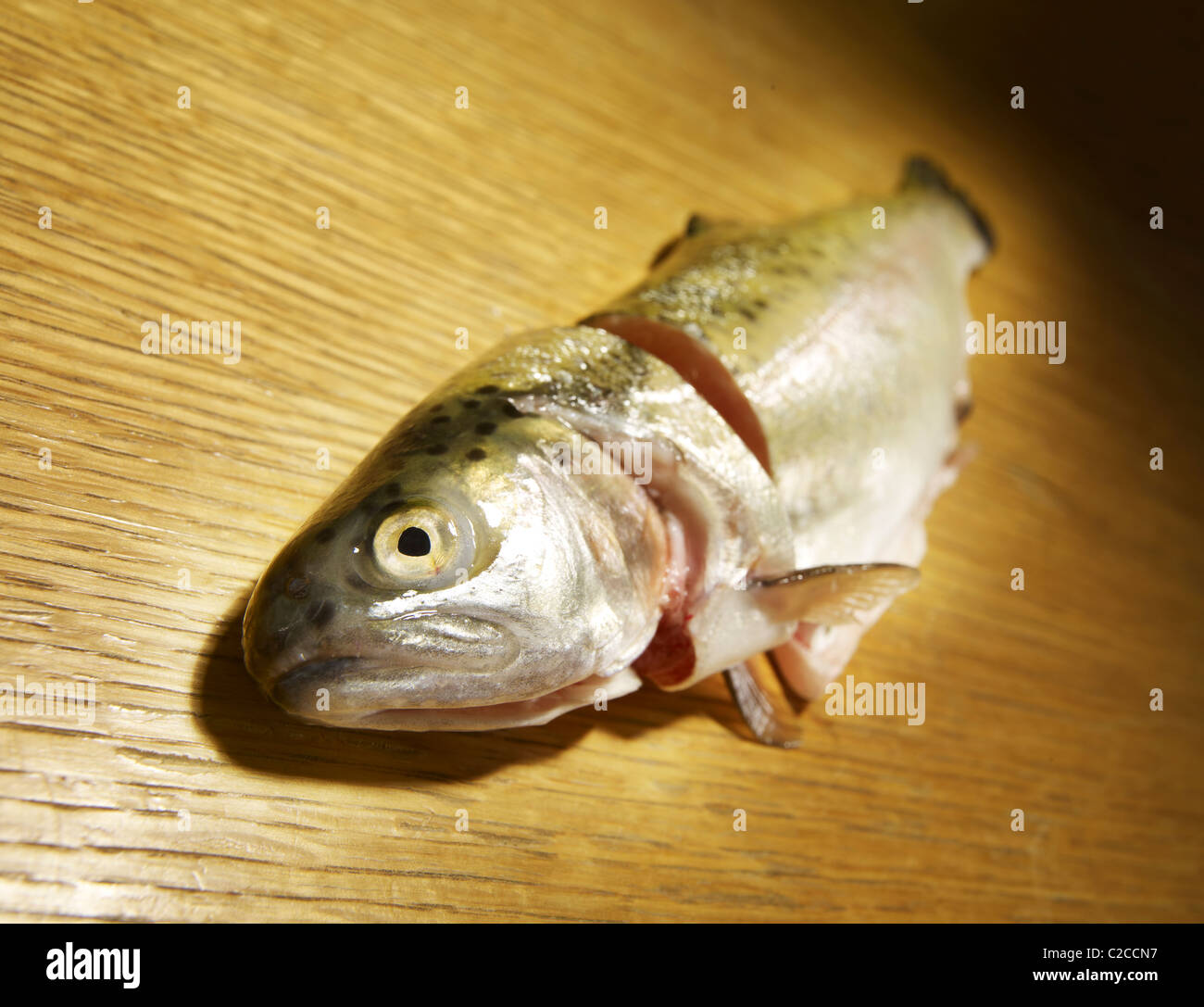 Dynamic angle hi-res stock photography and images - Alamy