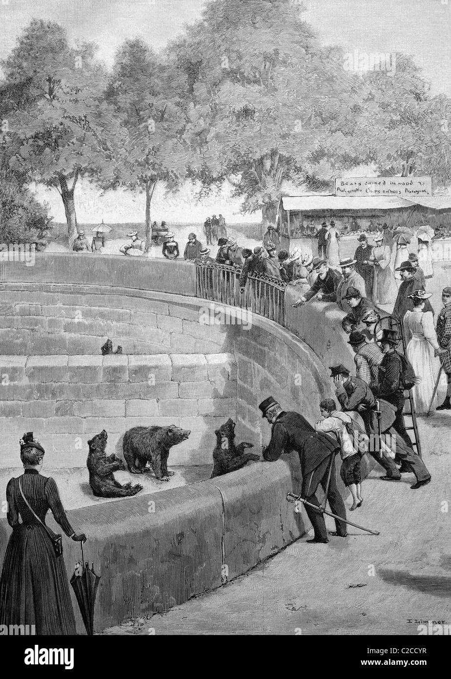 The Bear Pit in Bern, Switzerland, historical illustration, ca. 1893 ...