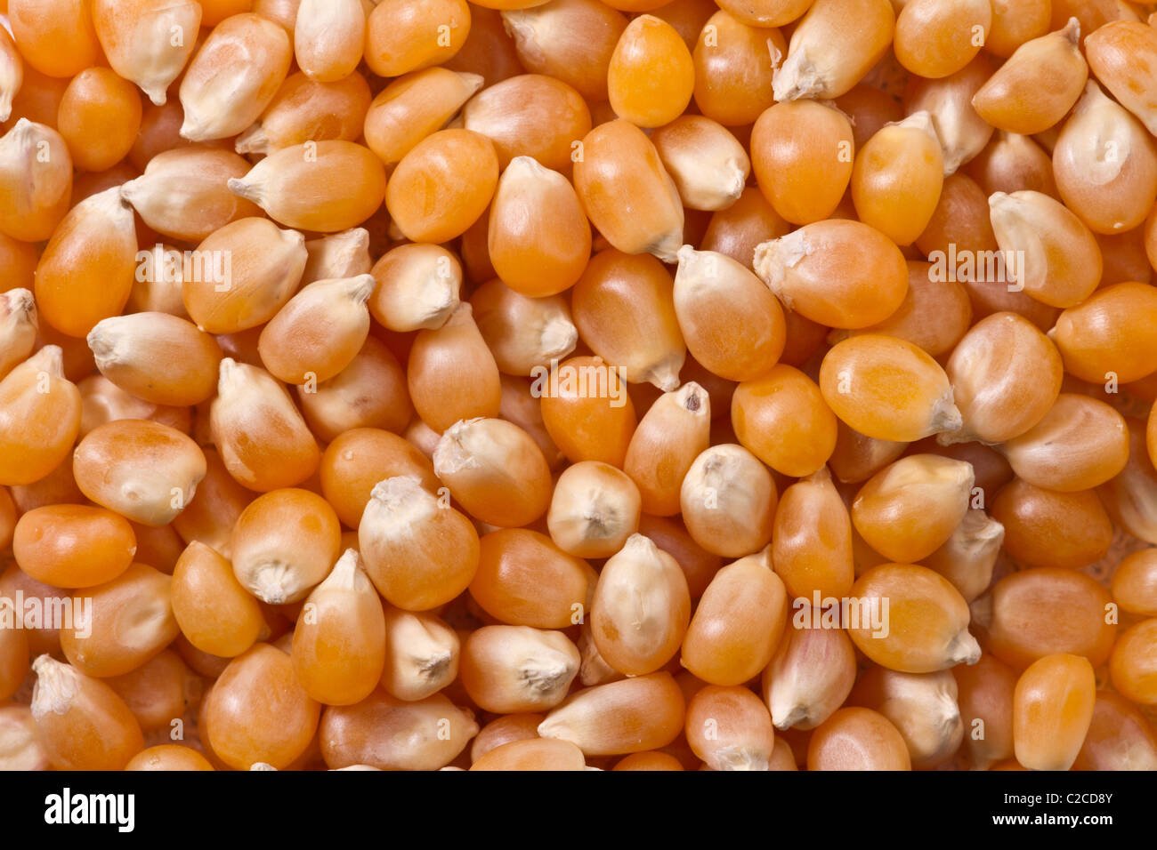 Raw popcorn hi-res stock photography and images - Alamy