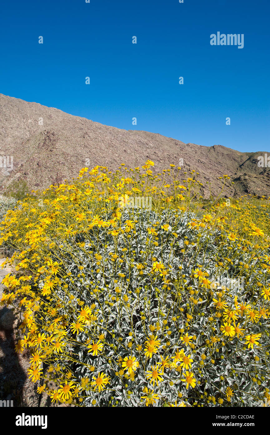 Picacho peak wilderness hi-res stock photography and images - Alamy