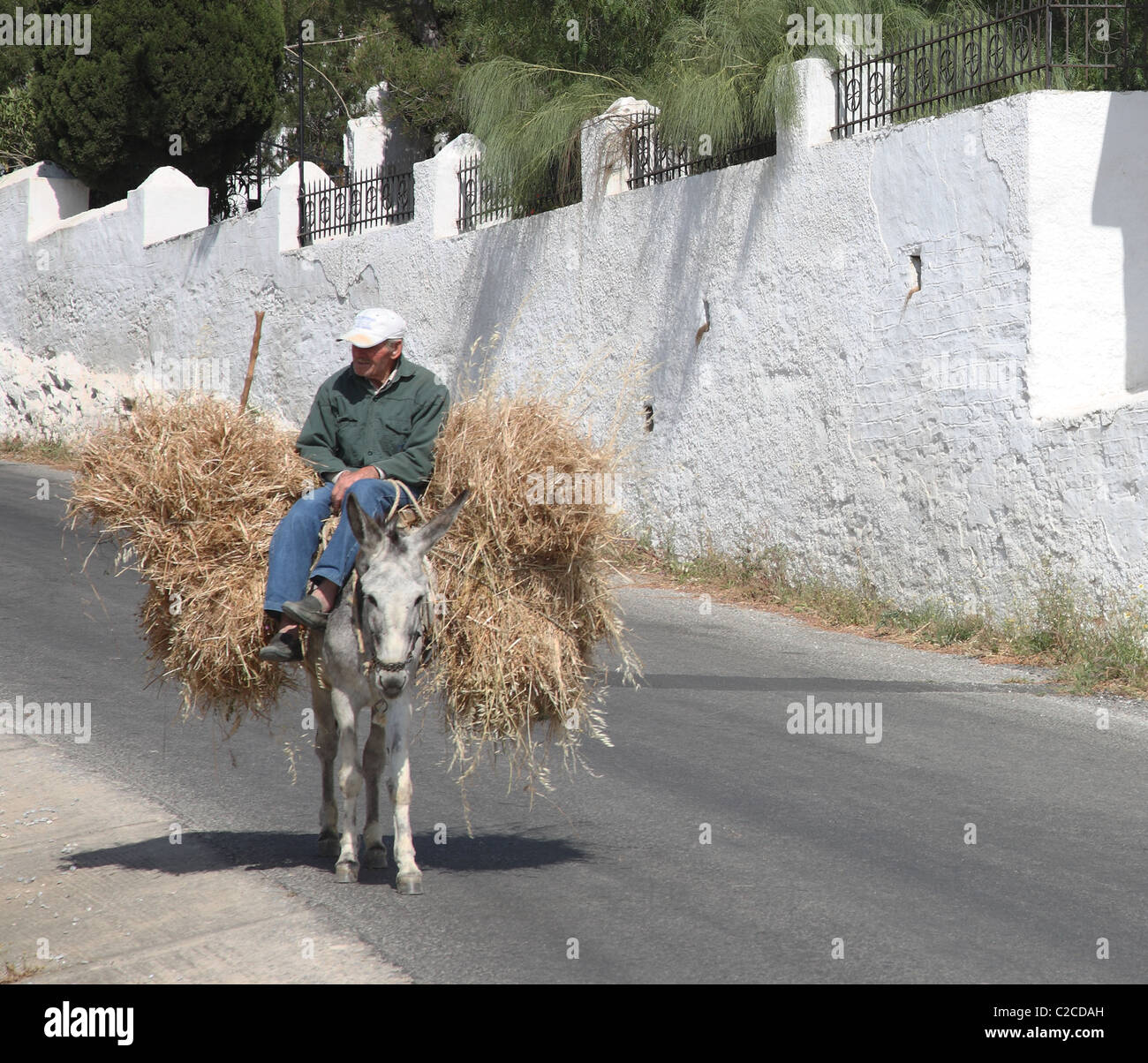 Loaded donkey hi-res stock photography and images - Alamy