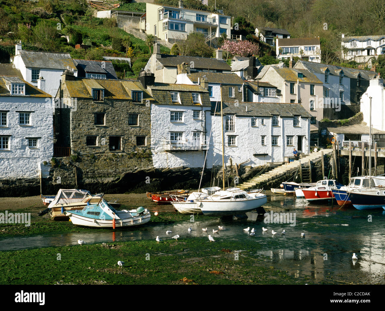 Polperro Cornwall England Stock Photo - Alamy