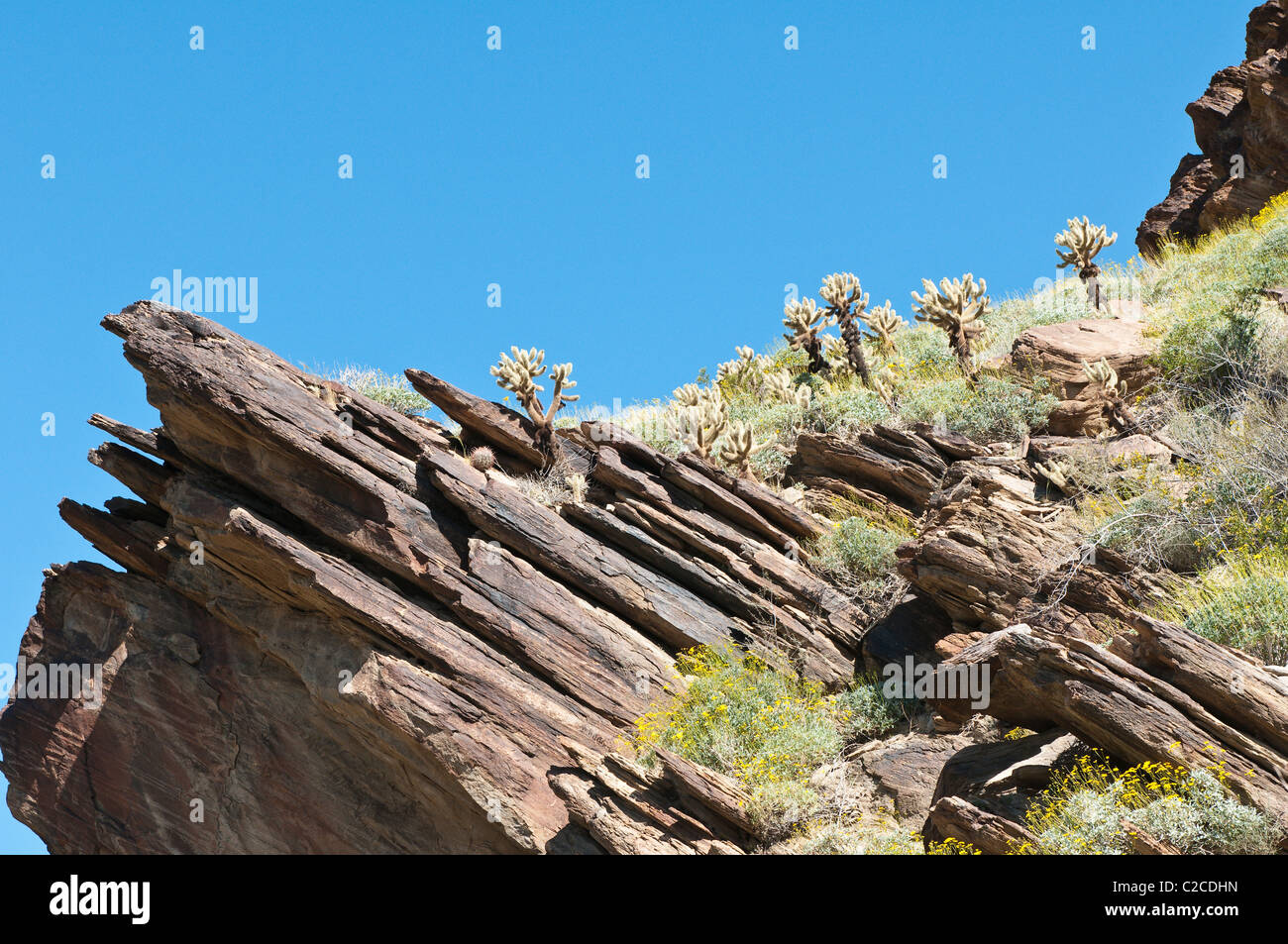 Palm Springs, California. Andreas Canyon, Indian Canyons Stock Photo ...