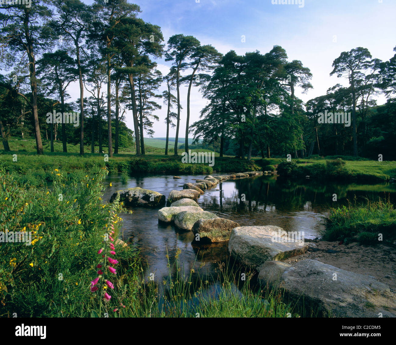 River Dart Devon England Stock Photo - Alamy