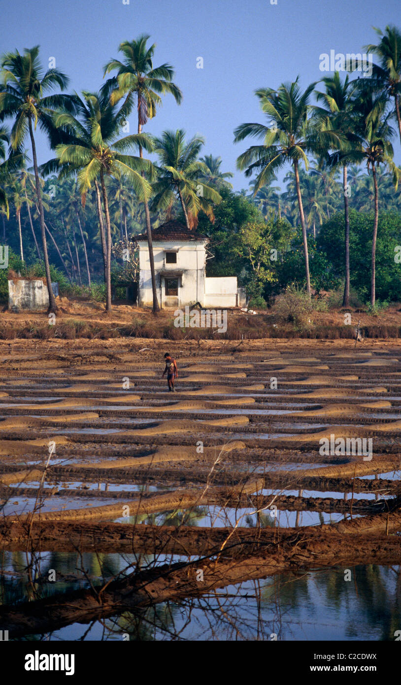 Arpora Goa India Stock Photo - Alamy