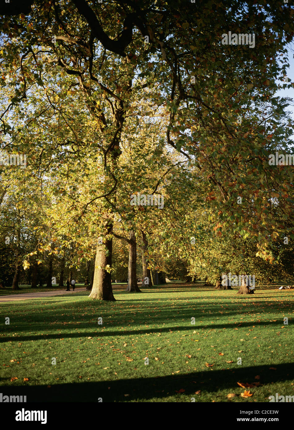 London England Stock Photo - Alamy