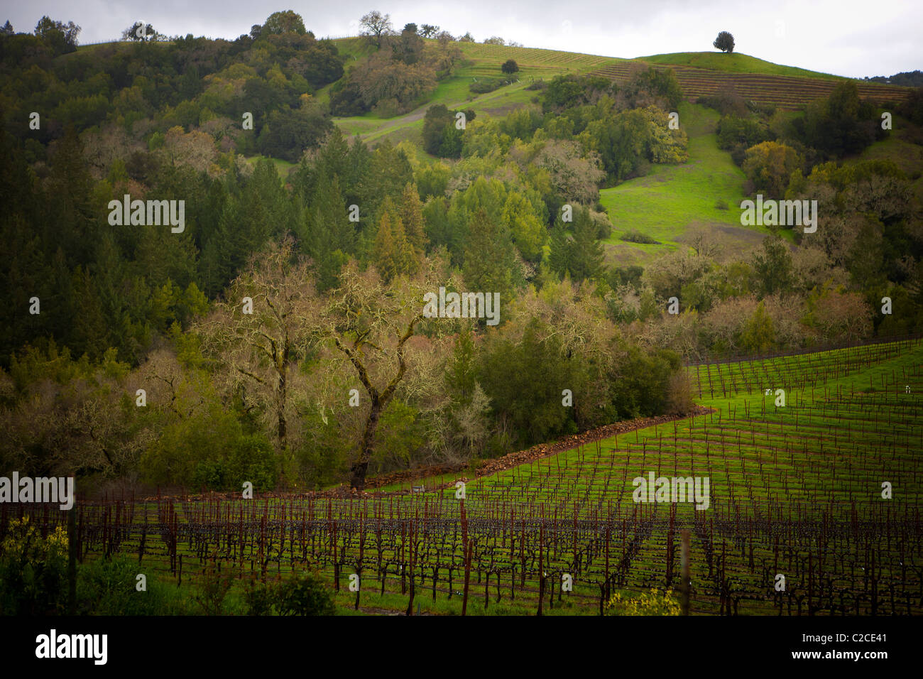 Napa Valley, California Stock Photo - Alamy