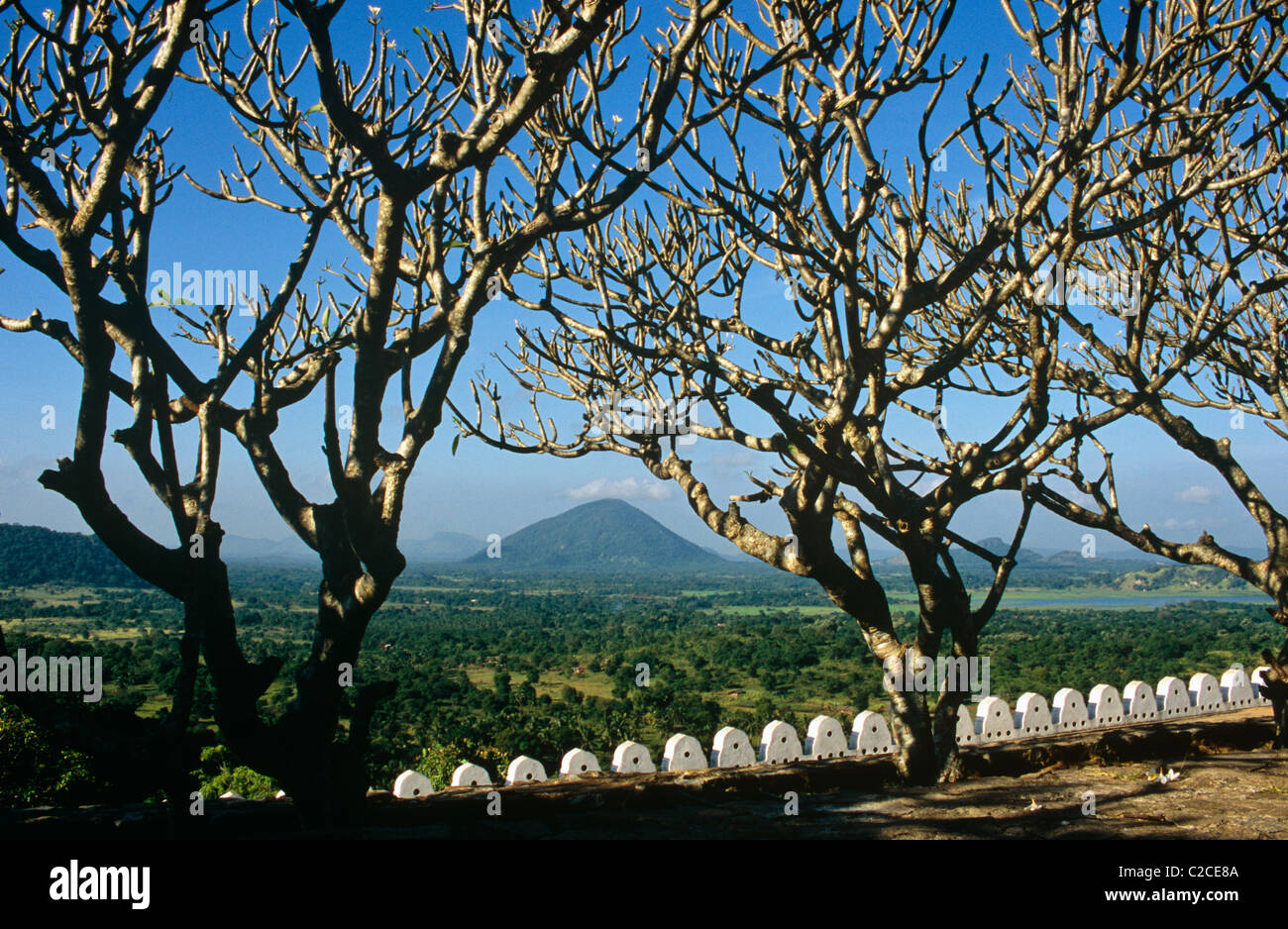 Dambulla Sri Lanka Stock Photo - Alamy