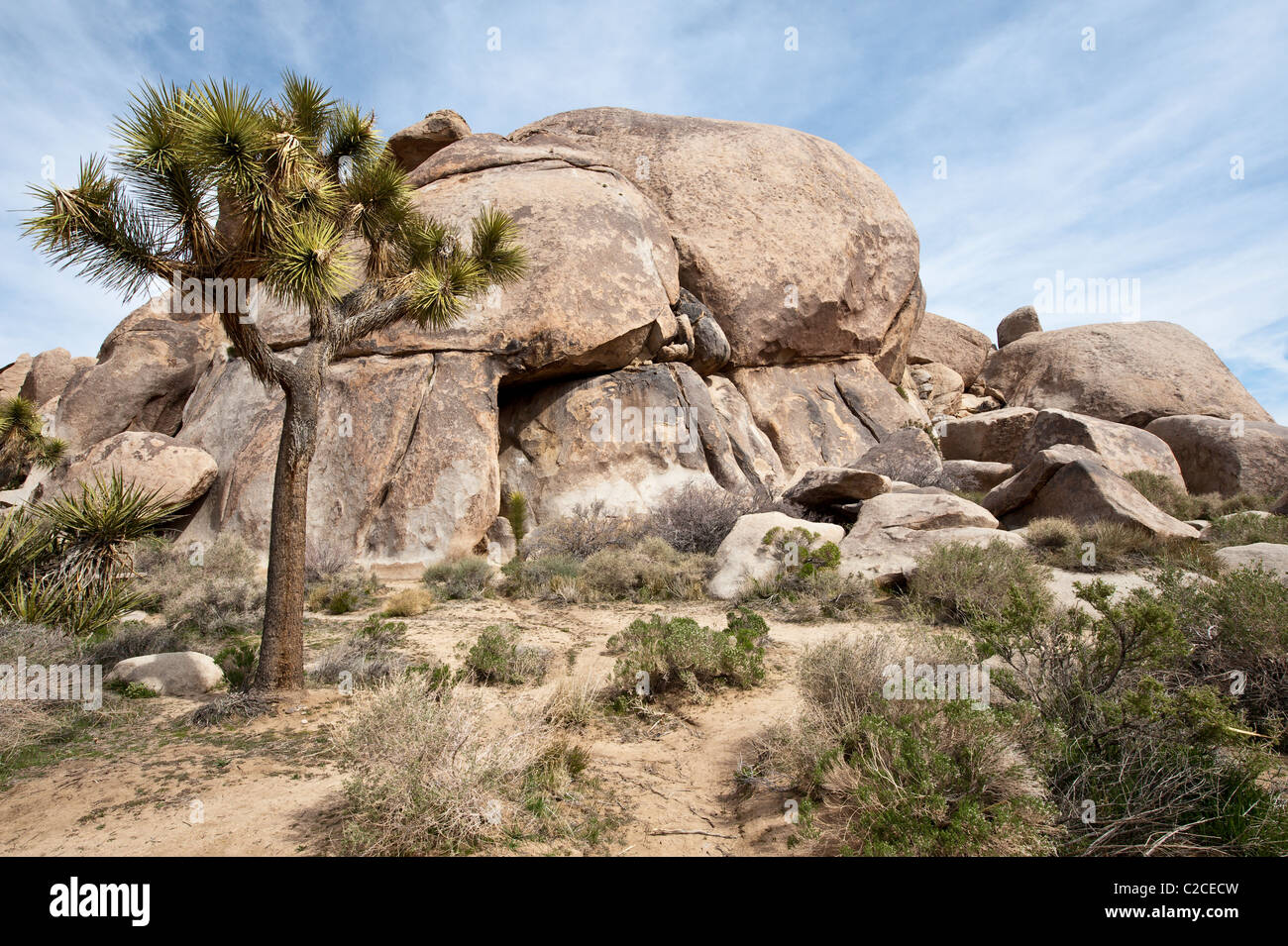 Jumbo rocks joshua tree national park california hi-res stock ...