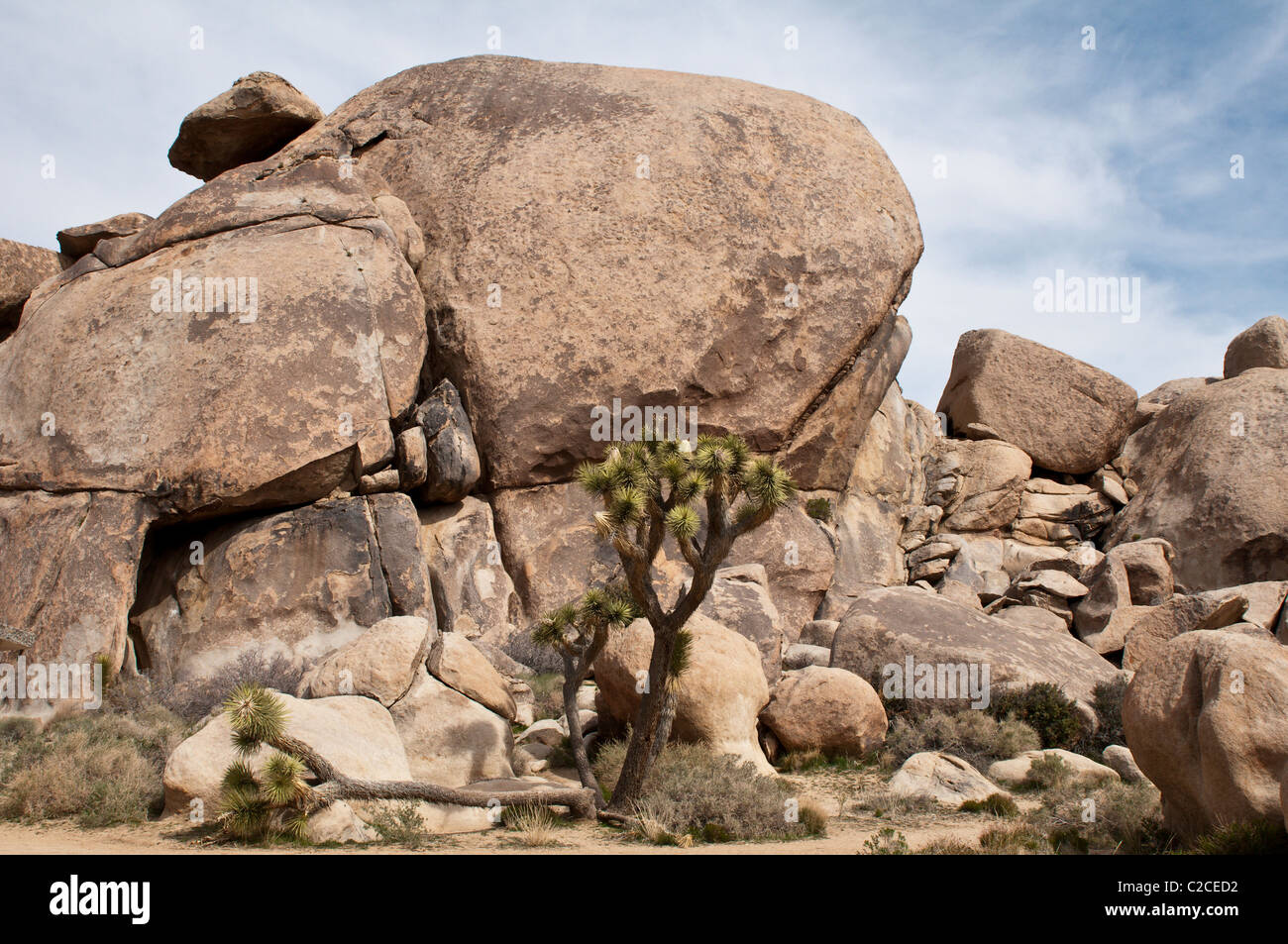 Joshua Tree National Park Jumbo Rocks in Yucca valley Mohave Desert ...