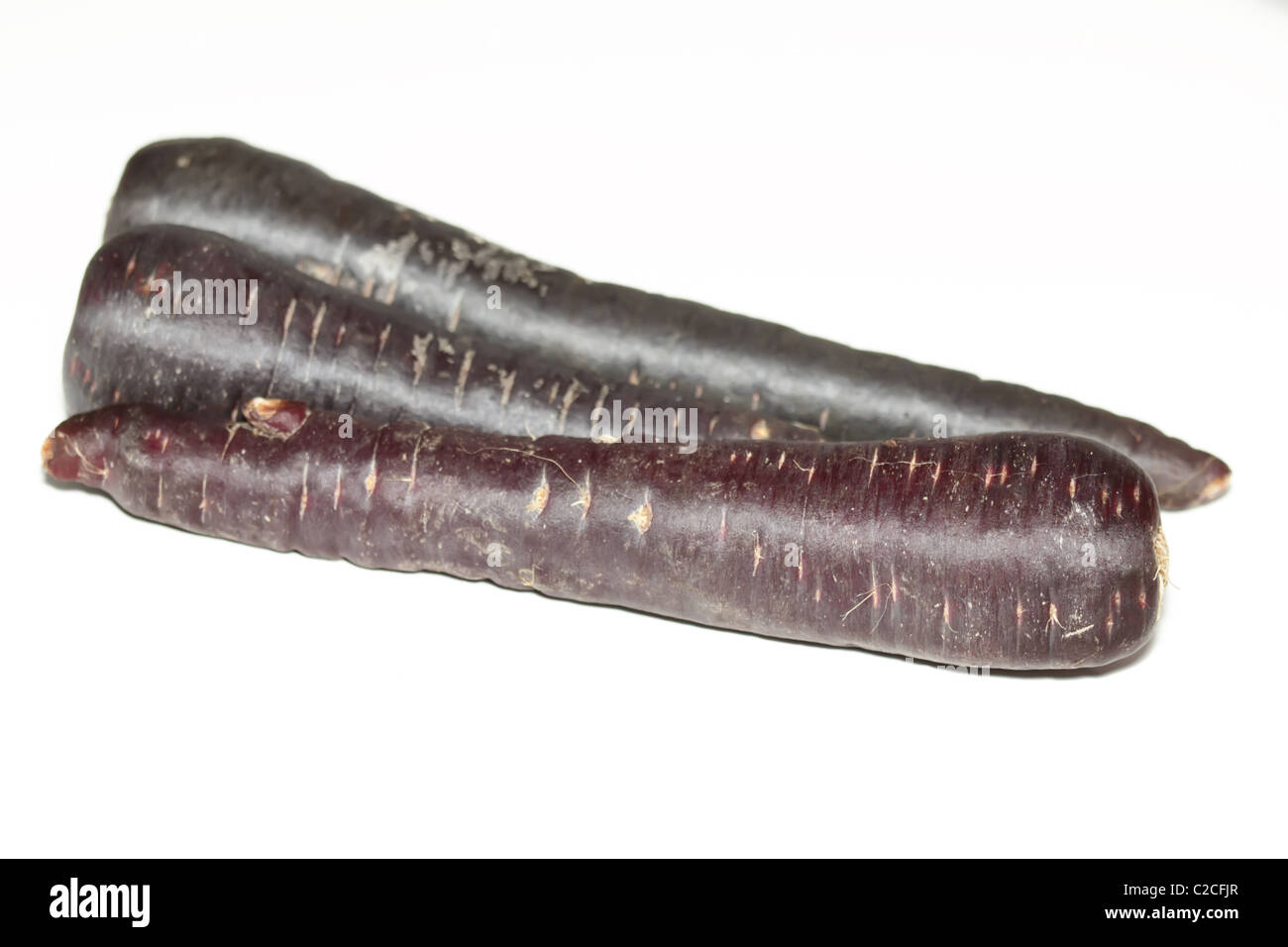 Purple Variety, Ancient Carrots Cultivated Stock Photo - Alamy