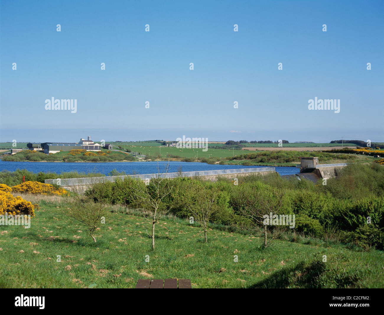 Llyn Alaw Anglesey Wales Stock Photo - Alamy