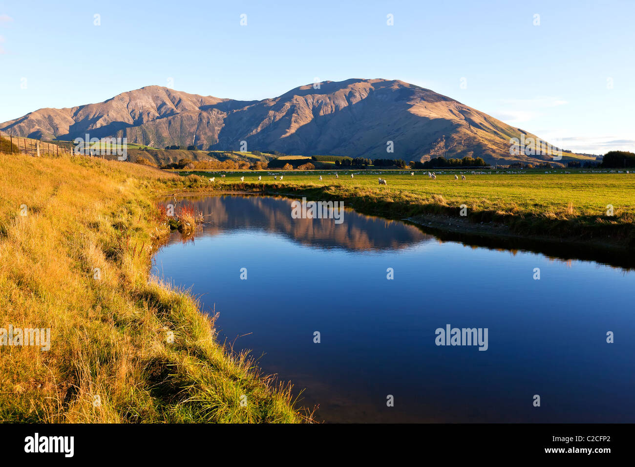 New zealand countryside hi-res stock photography and images - Alamy