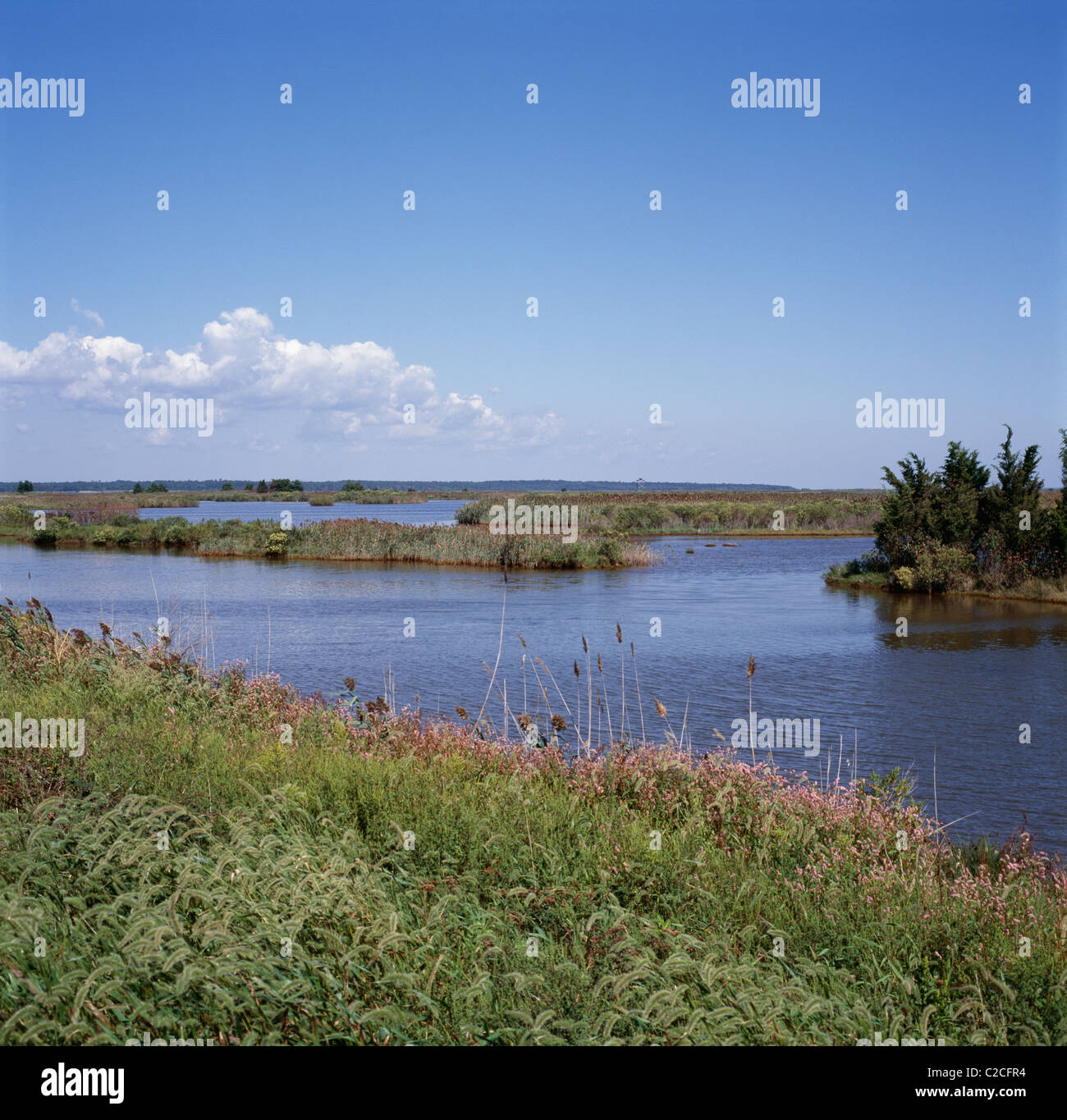 Oceanville hi-res stock photography and images - Alamy