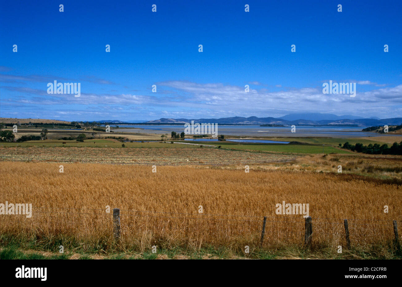 Derwent estuary hi-res stock photography and images - Alamy