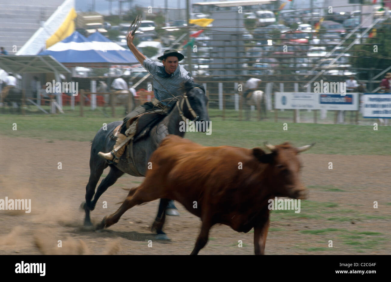 Vacaria hi-res stock photography and images - Alamy