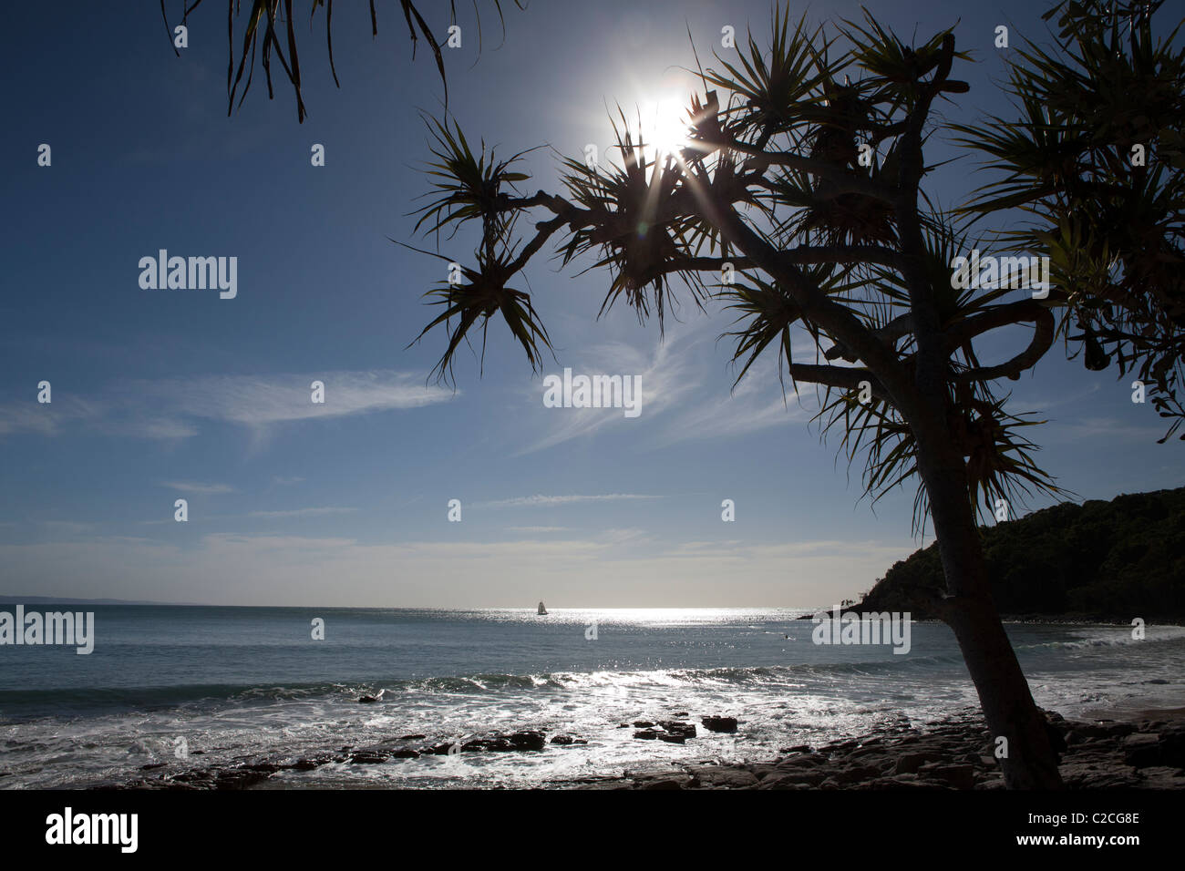 Noosa beach main hi-res stock photography and images - Alamy