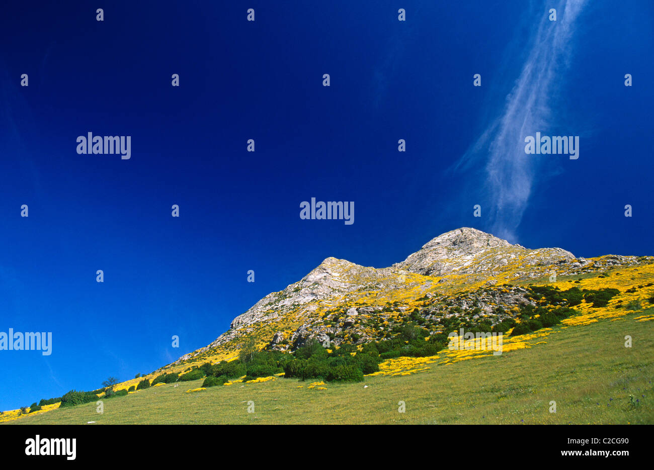 Pyrenees Spain Stock Photo - Alamy