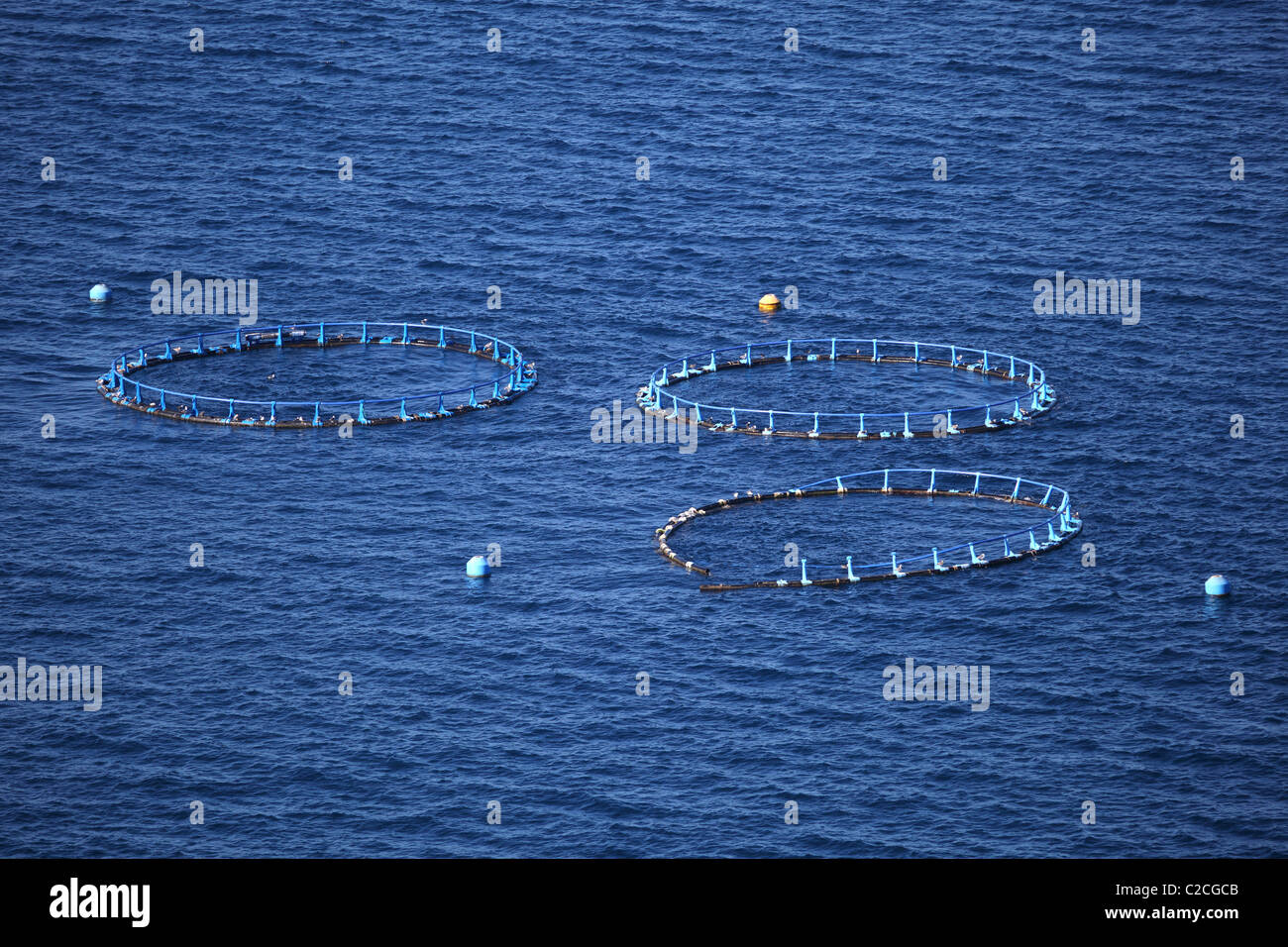 Aquaculture fish farm hi-res stock photography and images - Alamy