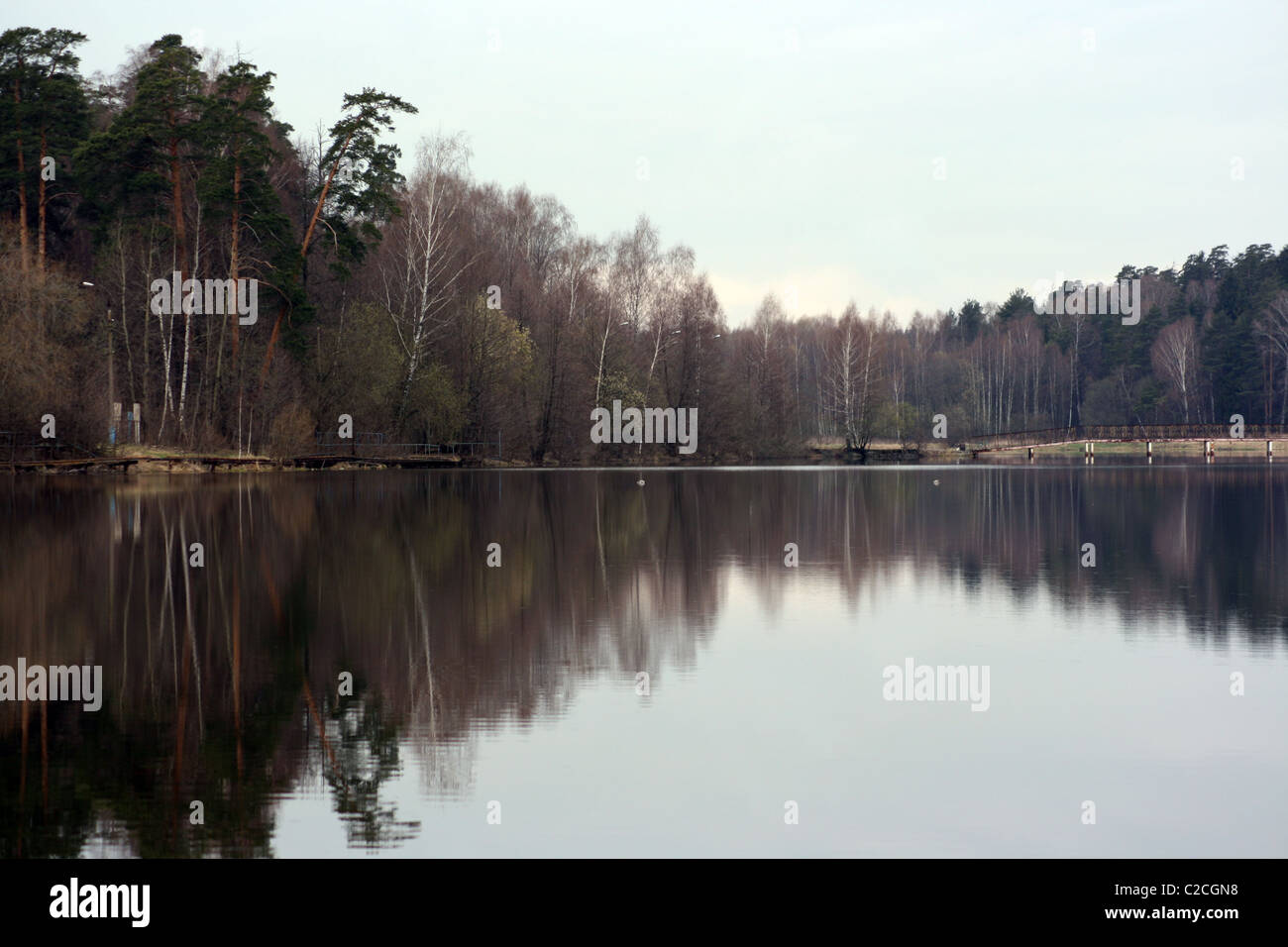 Reflection of a wood in mirror lake Stock Photo - Alamy