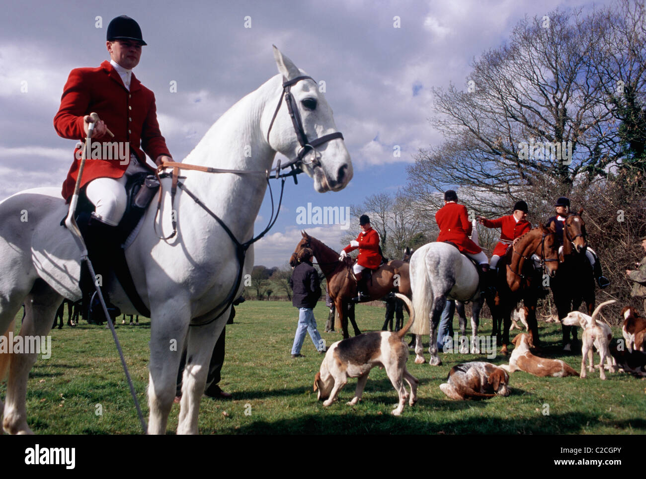 Hunting With Hounds Hampshire England Stock Photo - Alamy