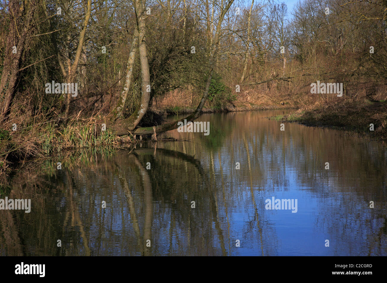 Norwich river banks hi-res stock photography and images - Alamy