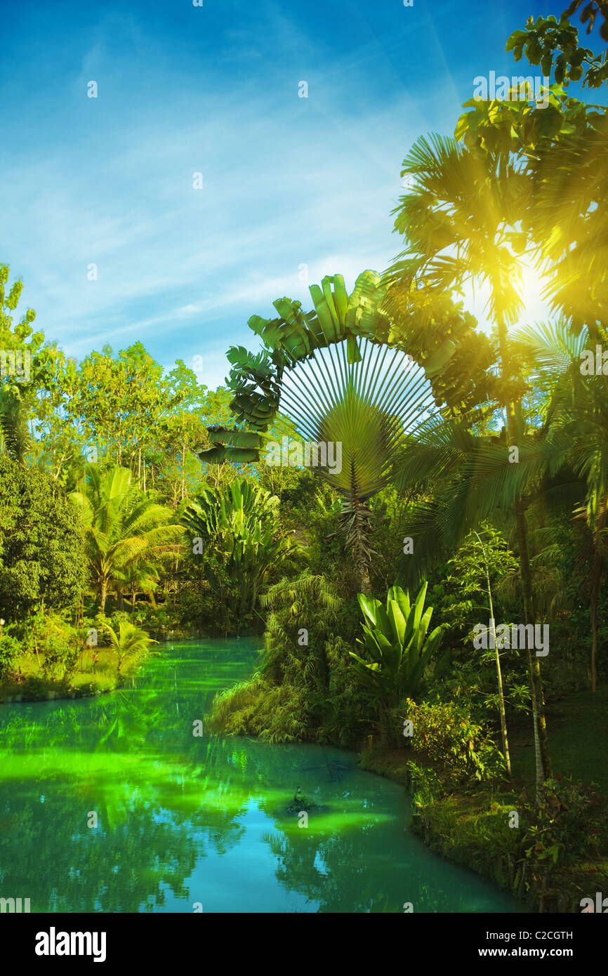 Lake in deep forest hi-res stock photography and images - Alamy