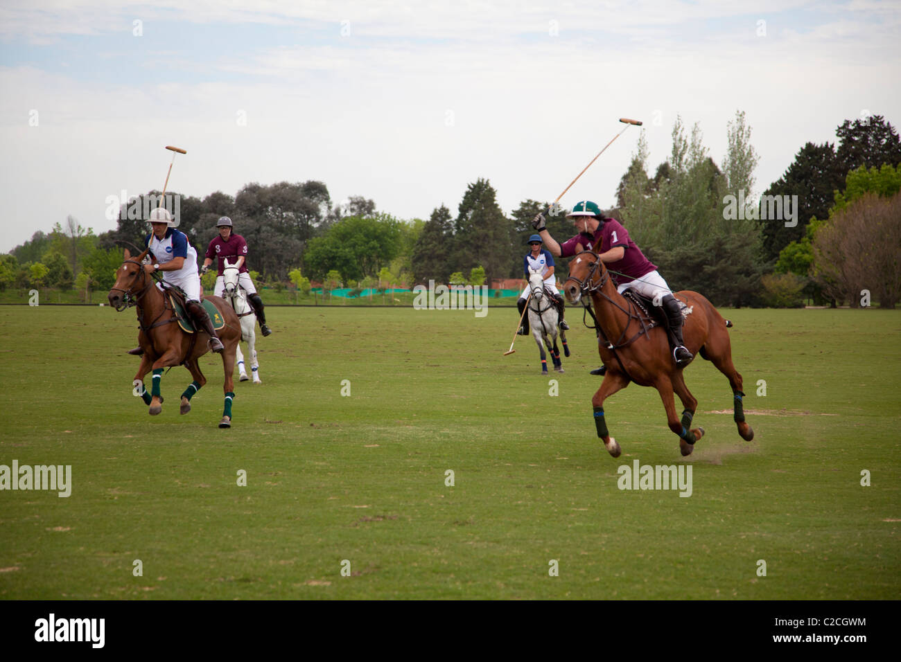 Polo argentina hi-res stock photography and images - Alamy